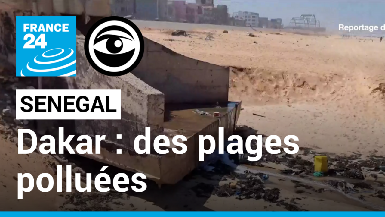 Pollution, bétonisation et négligence : le littoral de Dakar en dégradation continue - Les ...